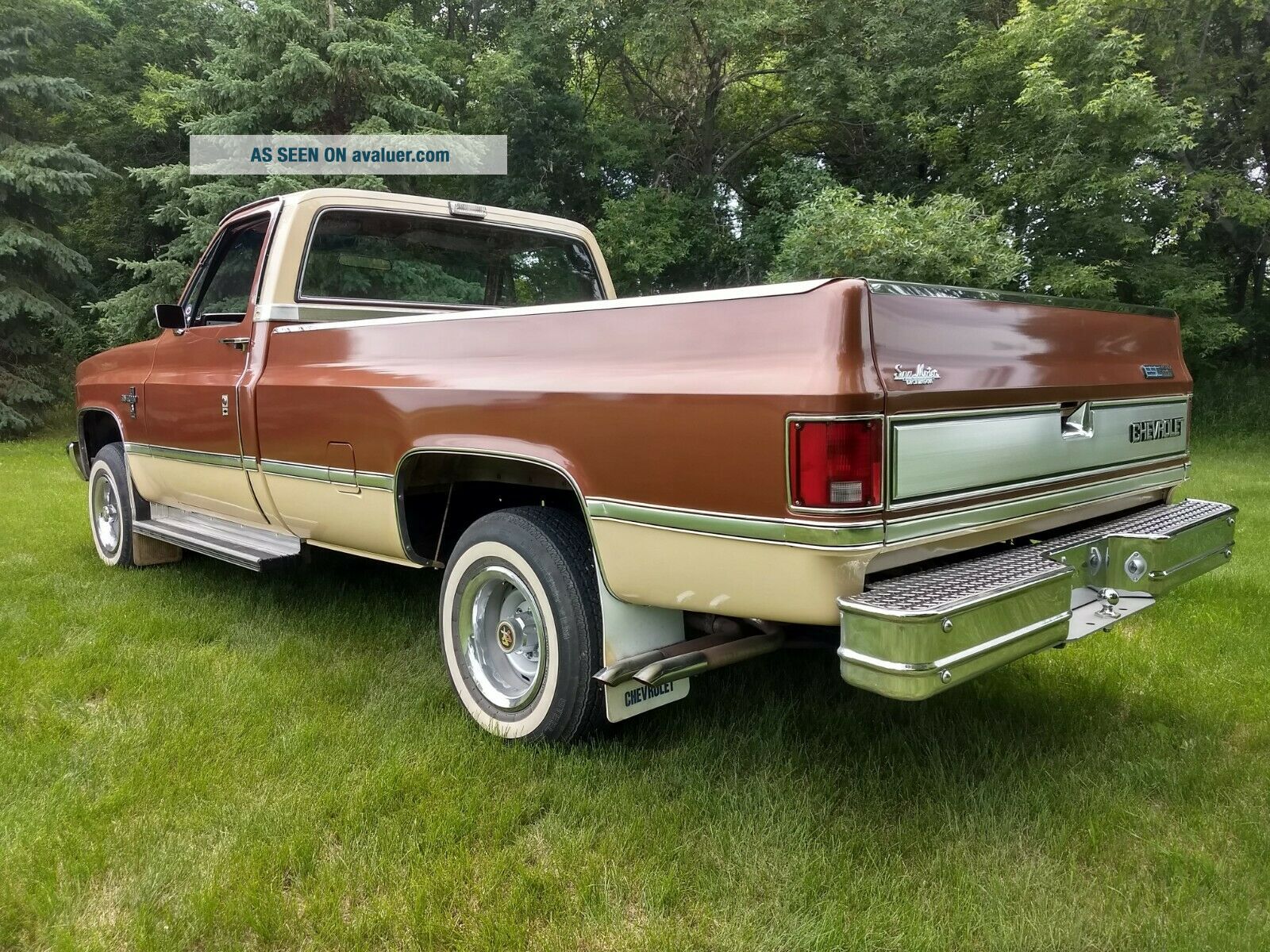 1982 Chevrolet C/K Pickup 1500 Silverado | #12221550
