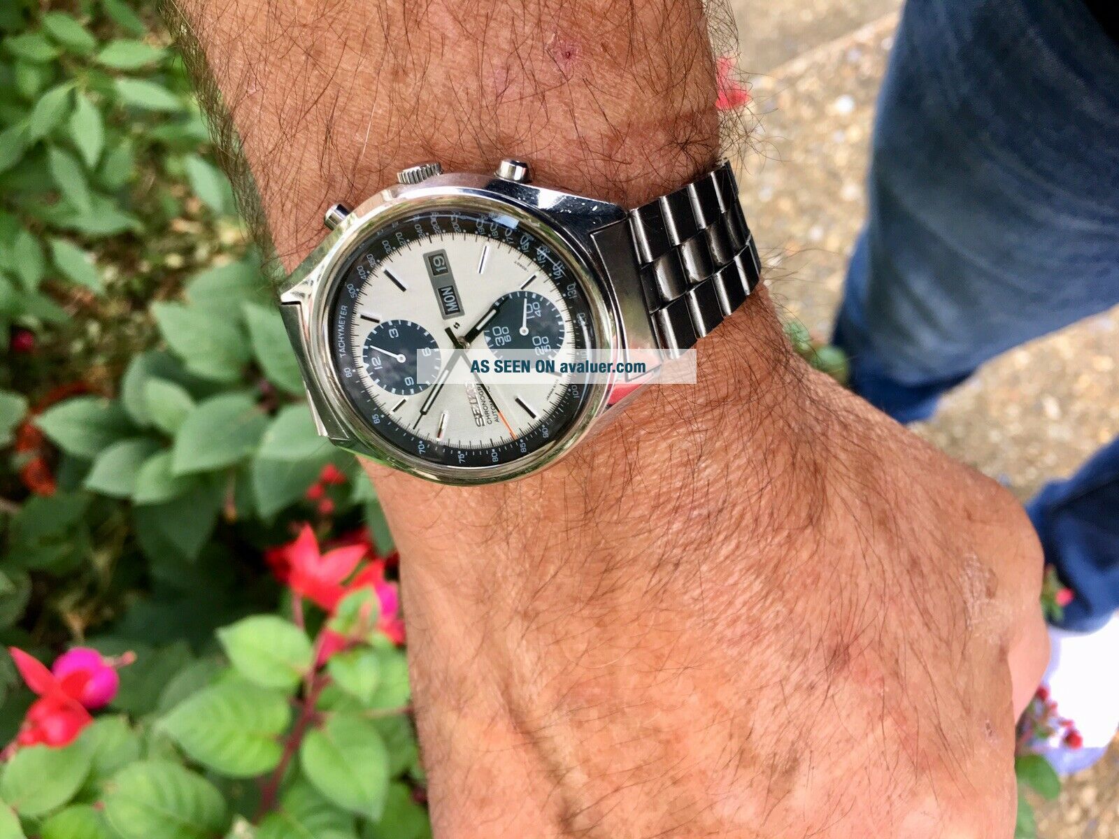 SEIKO PANDA AUTOMATIC CHRONOGRAPH A LOVELY HONEST DIAL | #12261800