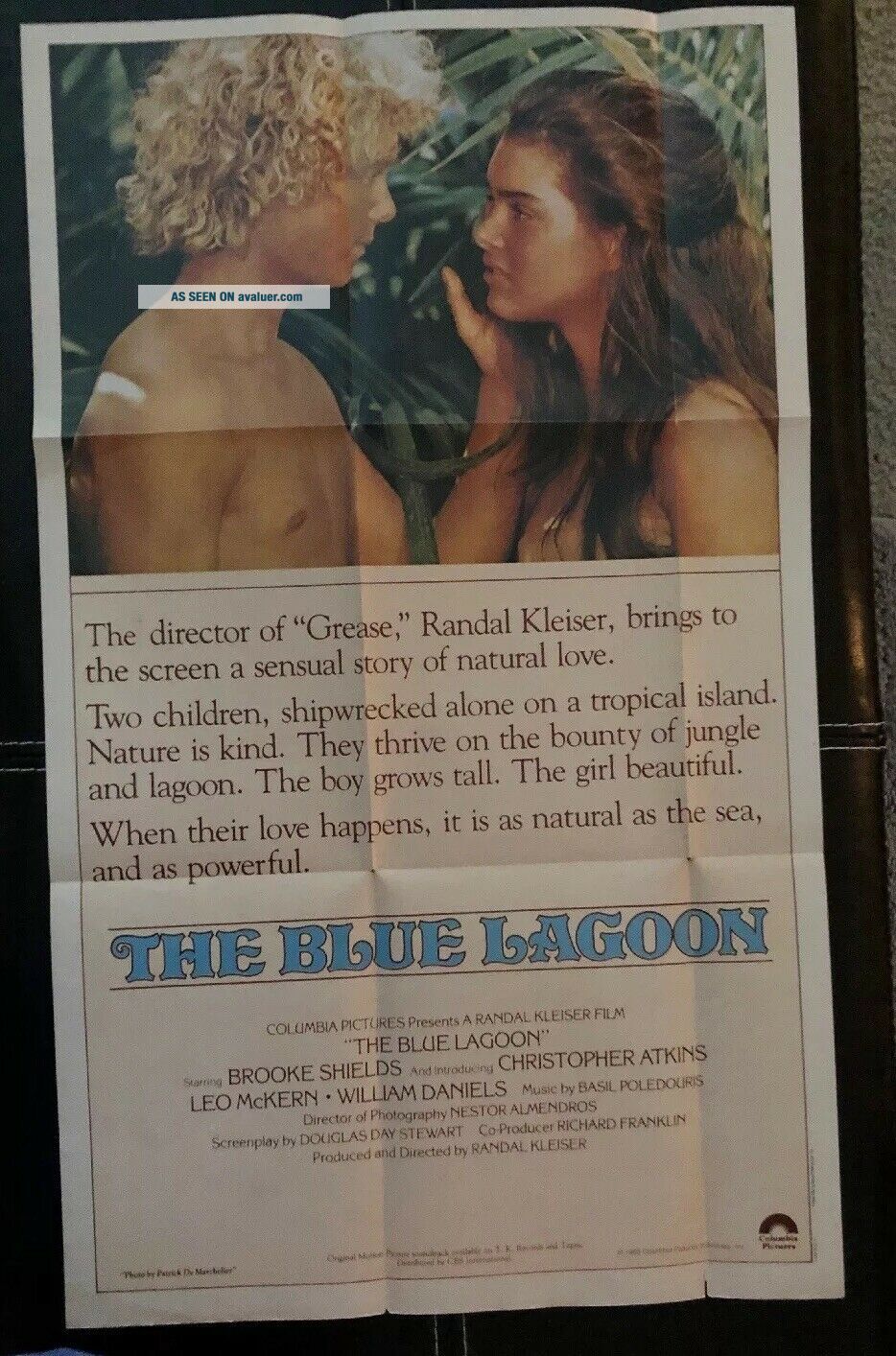 Classic The Blue Lagoon Movie Poster Brooke Shields Christopher Atkins