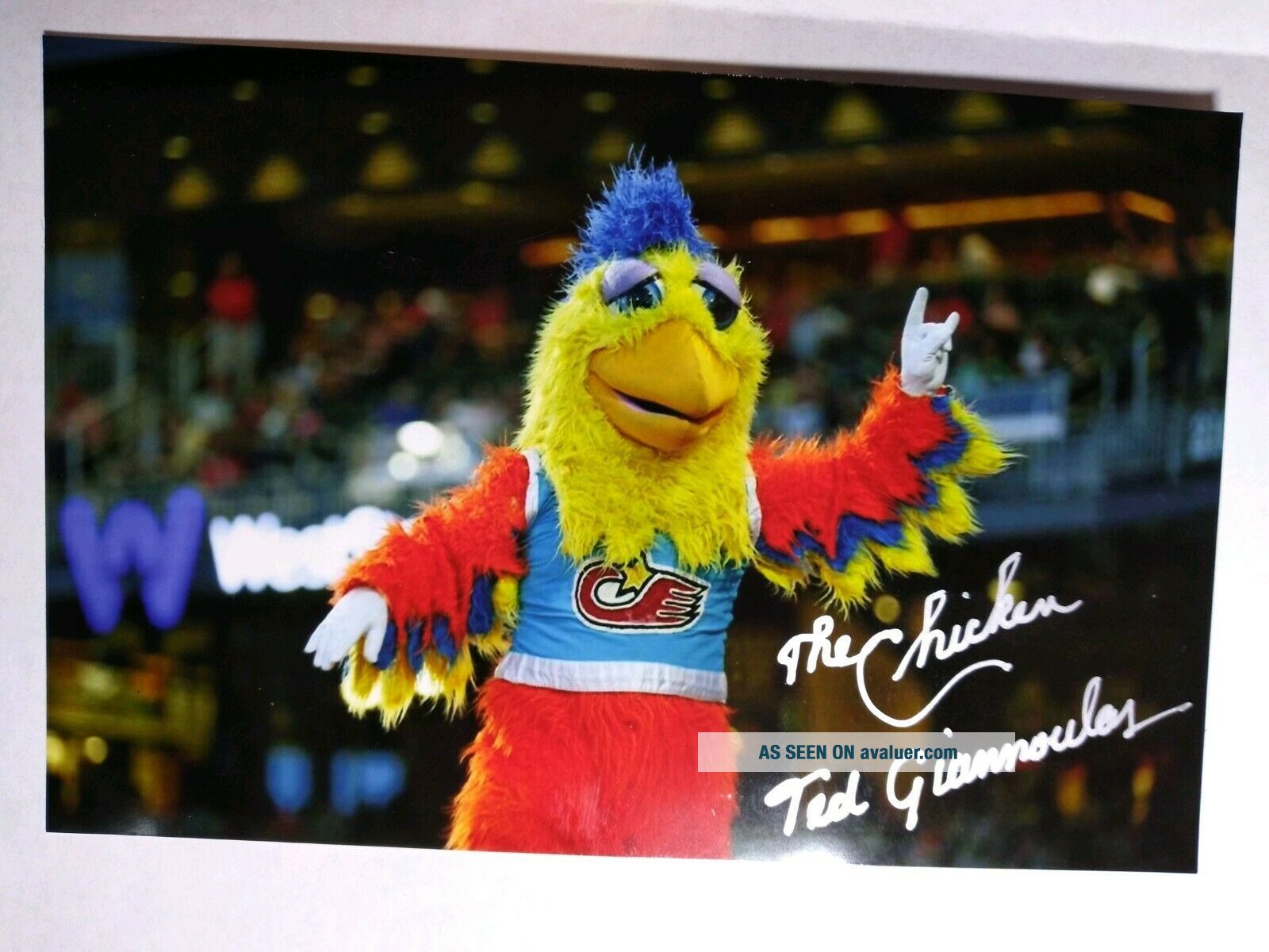 TED GIANNOULAS Authentic Hand Signed Autograph 4X6 Photo - THE SAN ...