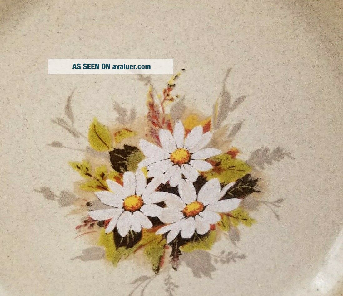 MIKASA WHOLE WHEAT LOVES ME DINNER PLATES SET OF THREE USA | #13247037